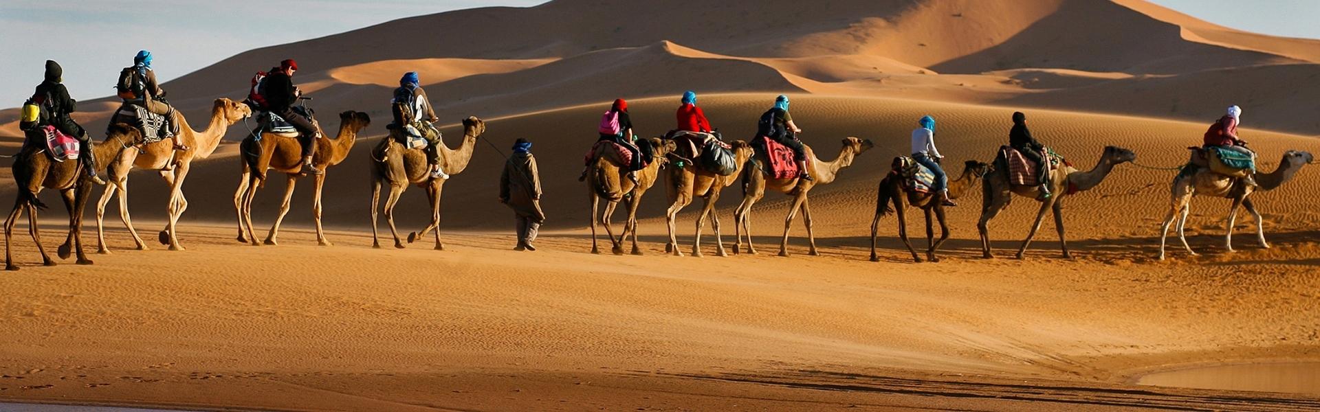 Camel Trekking in Morocco | Morocco Desert Tours from Marrakech